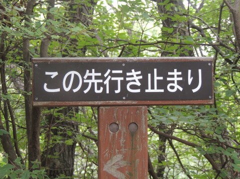 return false;とpreventDefault();とstopPropagation();の違い | cly7796.net